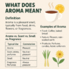 What Does Aroma Mean? Definition, Origins, And Everyday Examples